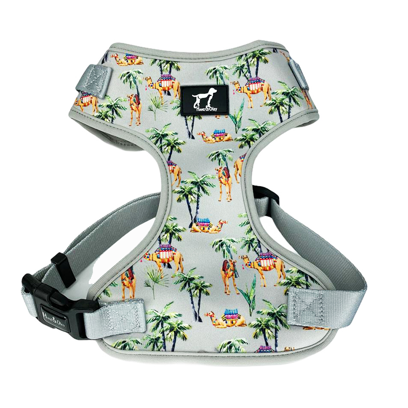 Products – Hanz and Oley